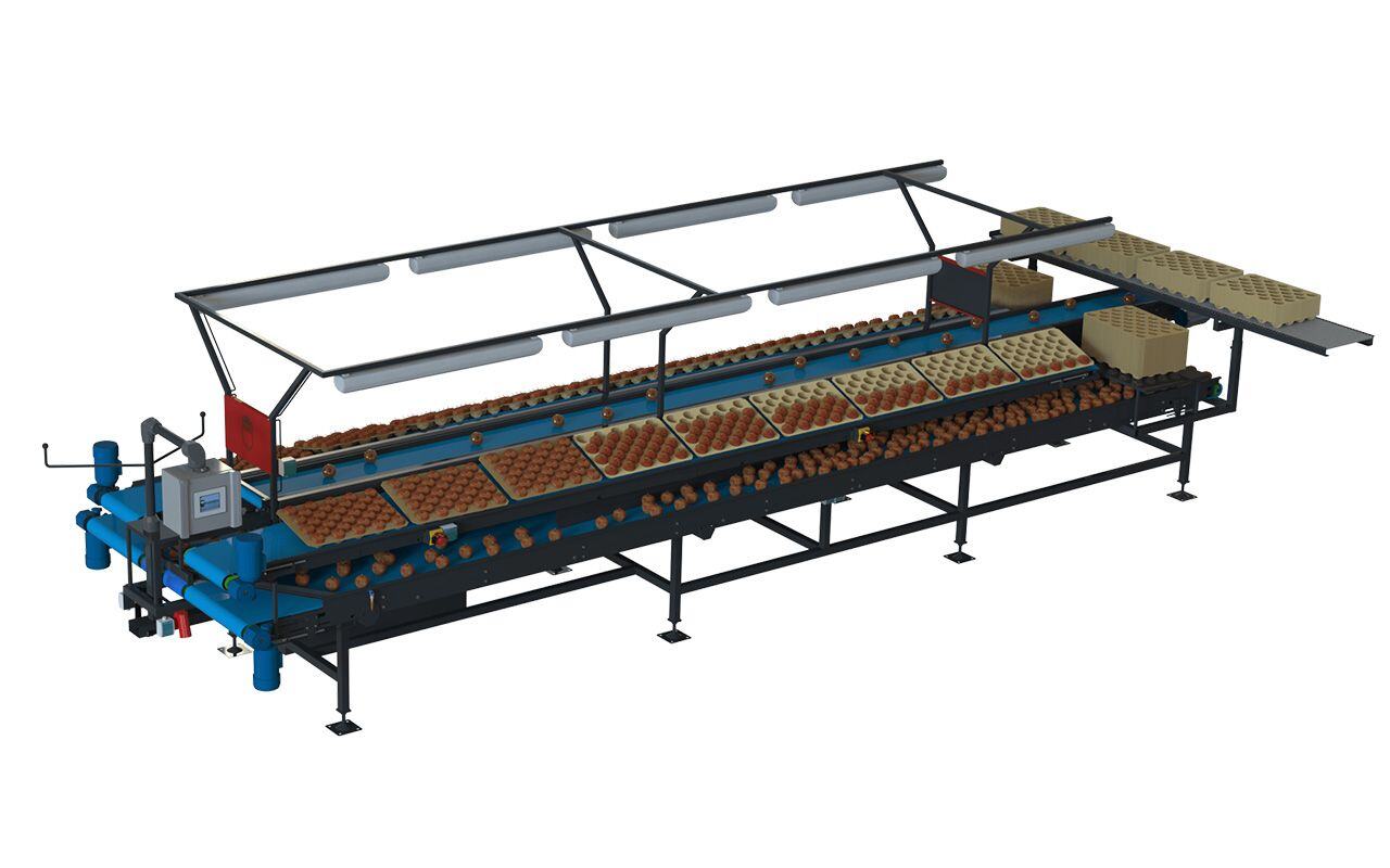 Burg - Fruit Packing Table | Wyma Solutions