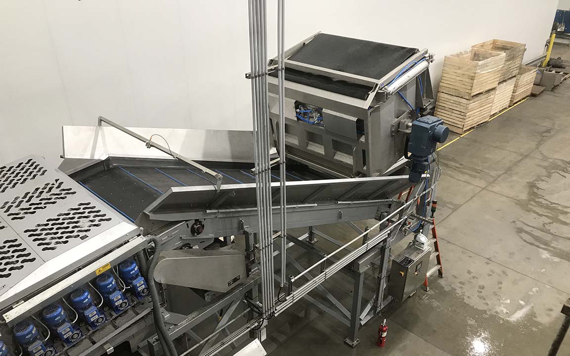 Hopper Food Processing