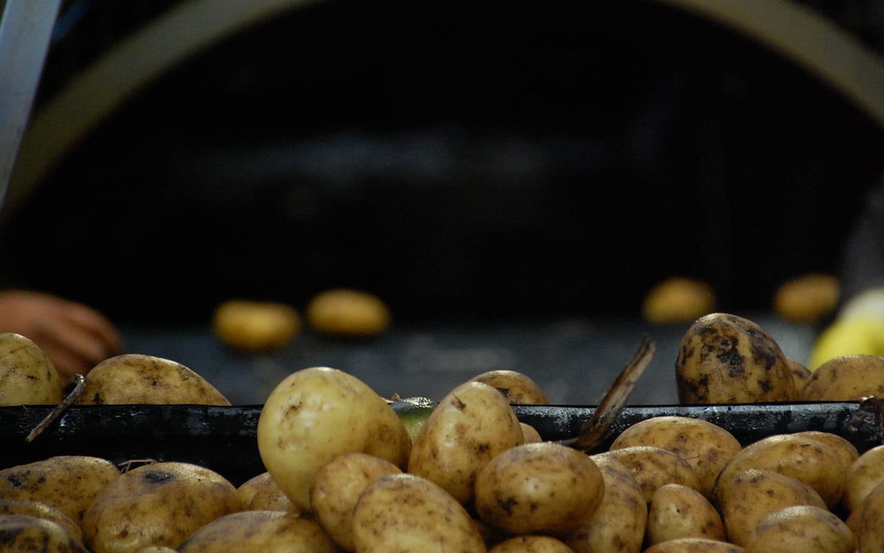 Want to avoid potato bruising and increase profit? - Wyma Solutions