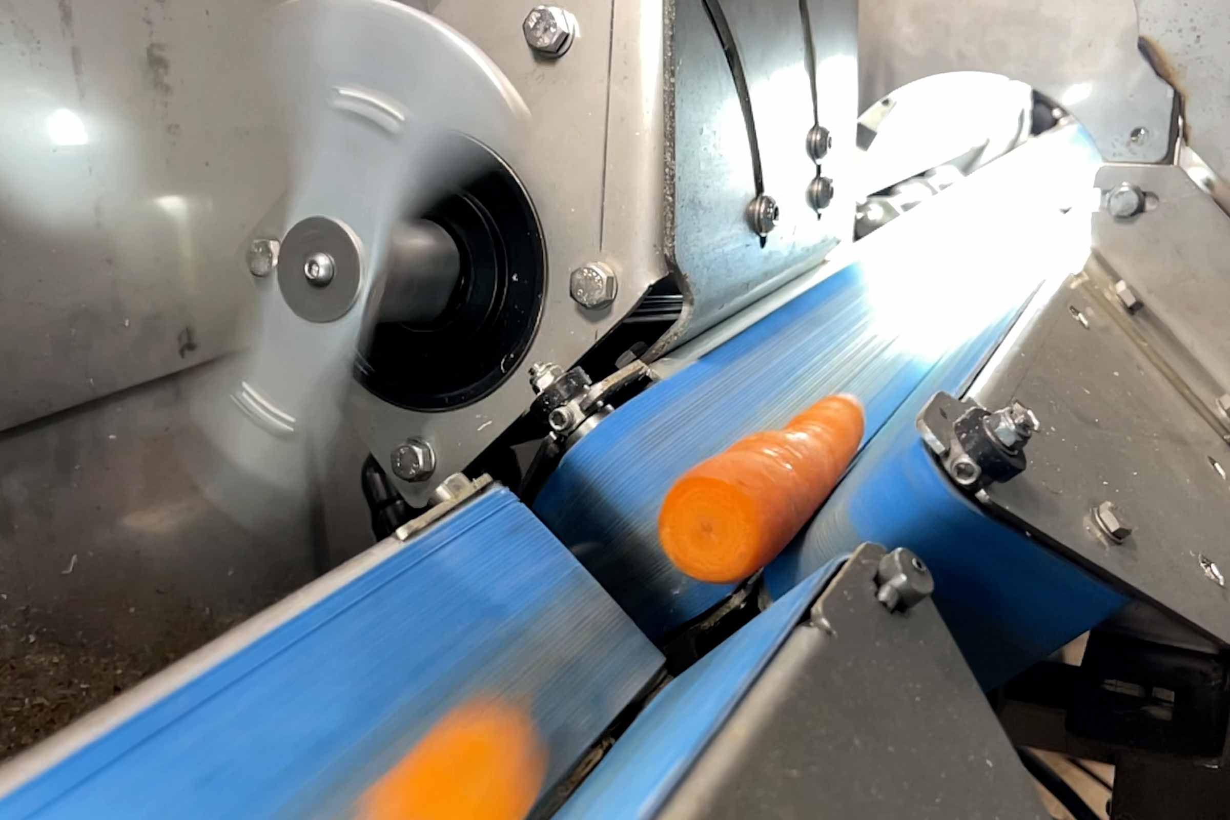 Optical Roto-Cut Vegetable Trimmer | Wyma Solutions