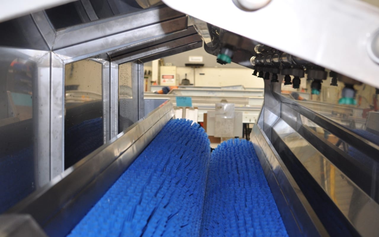 Pumpkin Brusher | Wyma Solutions