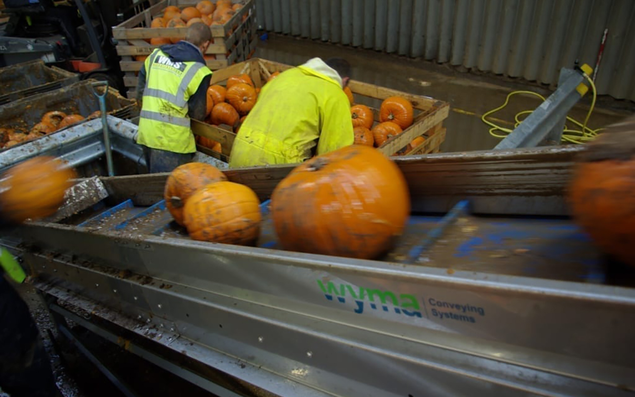 Pumpkin Brusher | Wyma Solutions